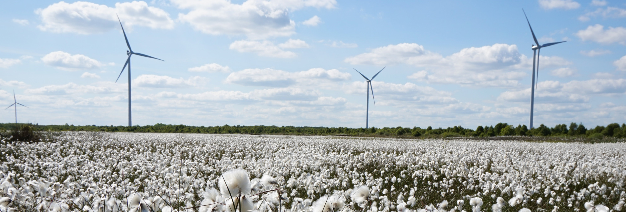 The Project | Littleton Wind Farm